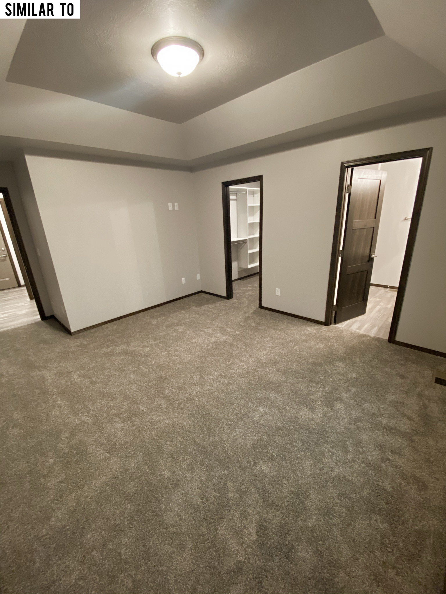 Carter - Signature Companies